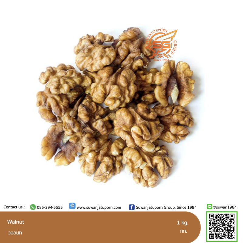 Walnut วอลนัท – Suwanjatuporn Co.,LTD Since 1984