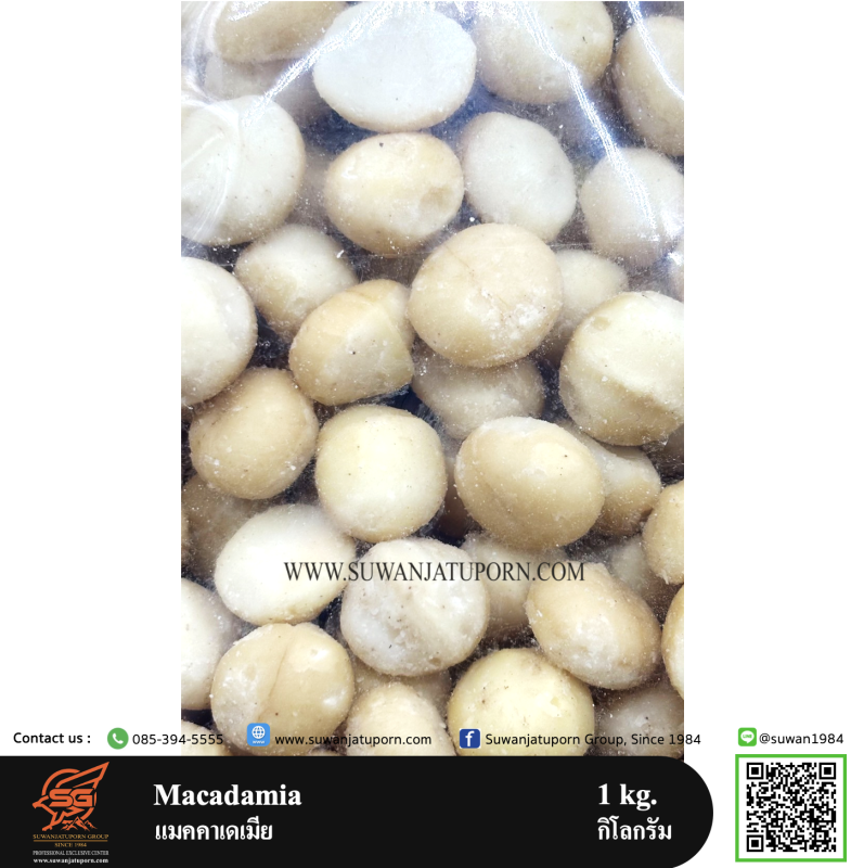 Macadamia แมคคาเดเมีย – Suwanjatuporn Co.,LTD Since 1984